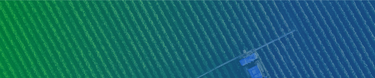 Wynca Group | 品牌碳披露